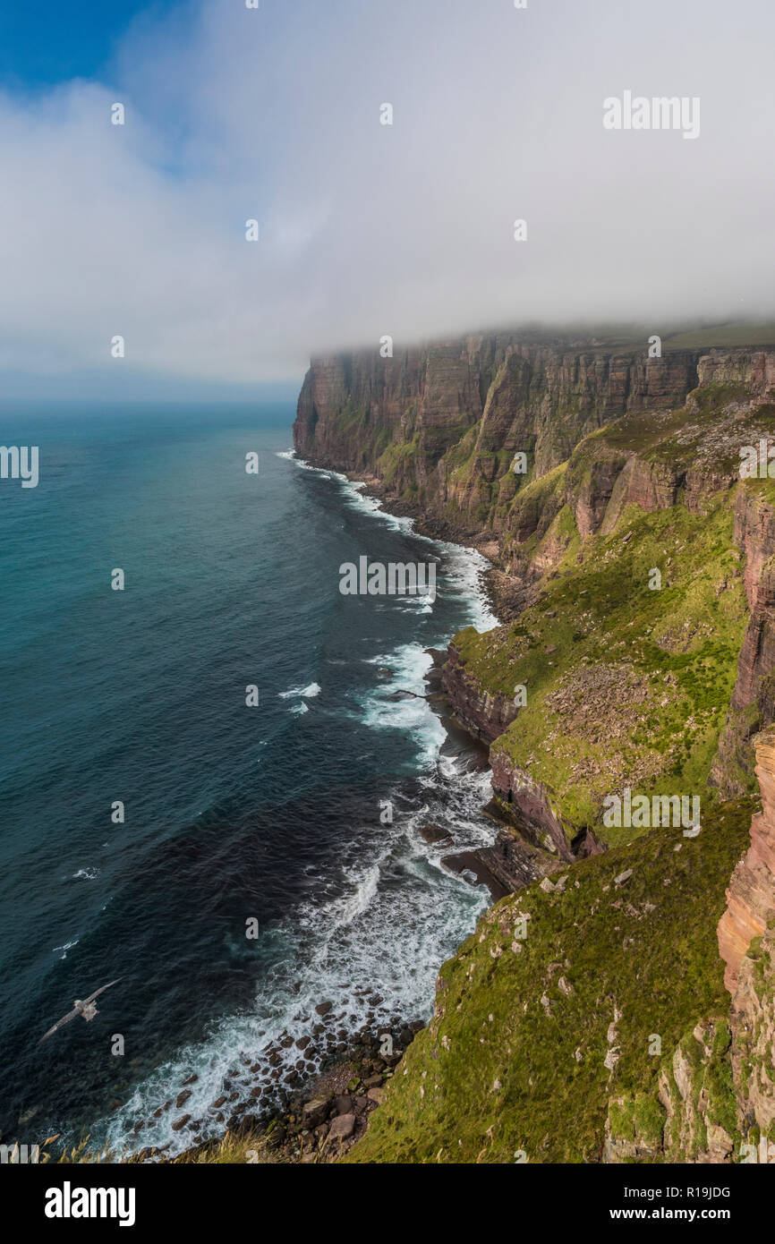 Orkney cliffs sea hi-res stock photography and images - Alamy