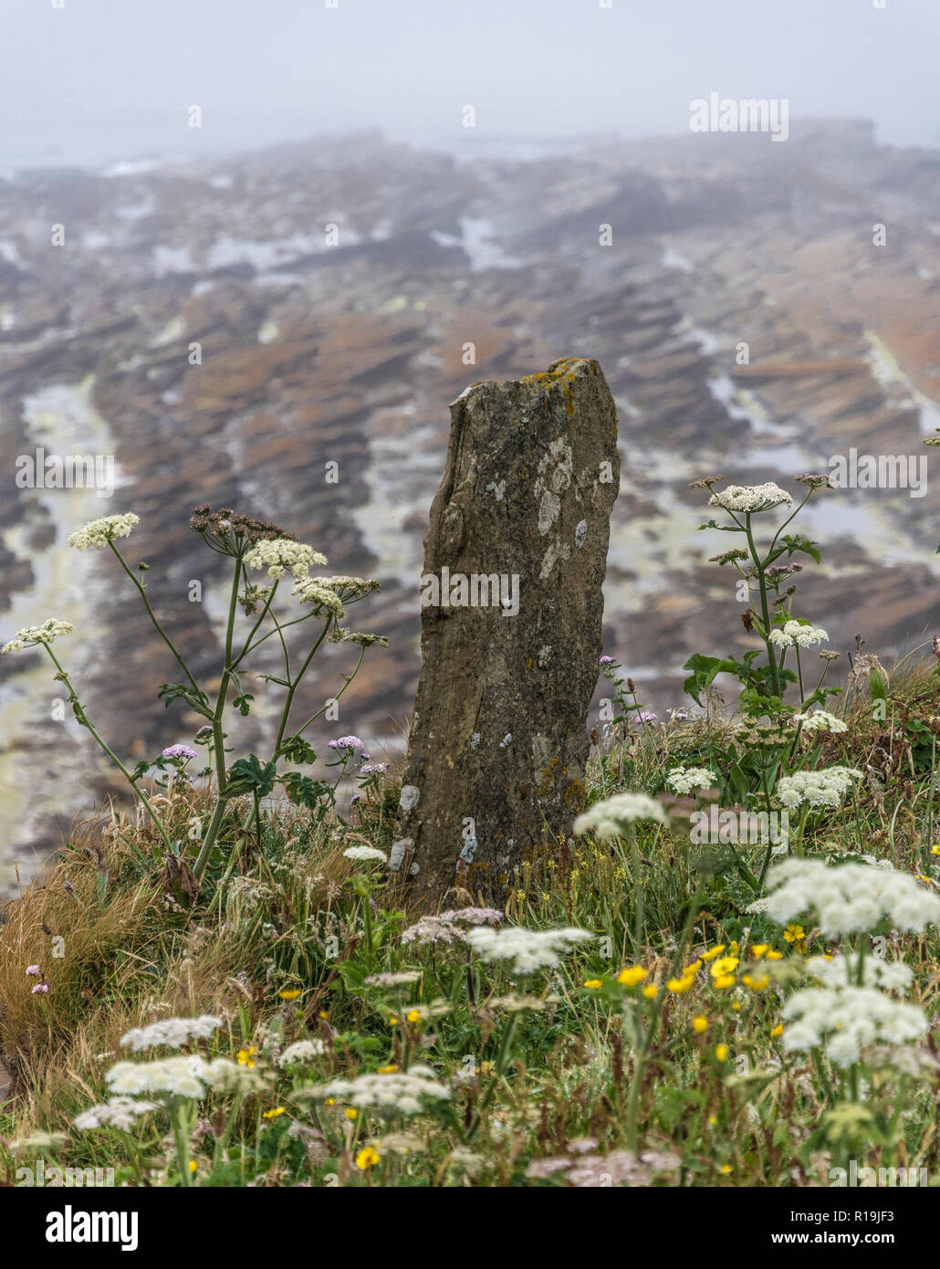 Orkney standing stone hi-res stock photography and images - Alamy