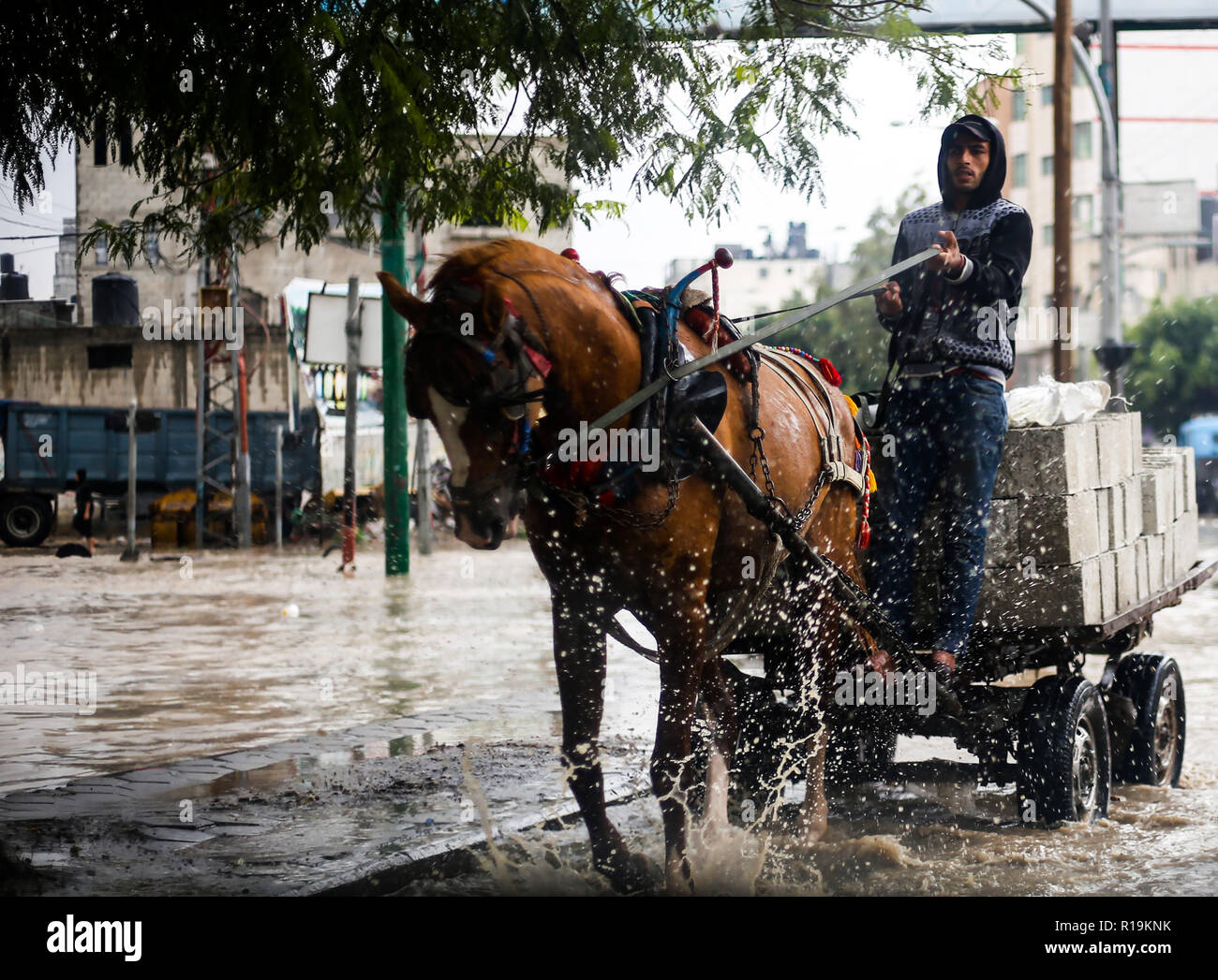 Gaza City, The Gaza Strip, Palestine. 10th Nov, 2018. A Palestinian boy ...