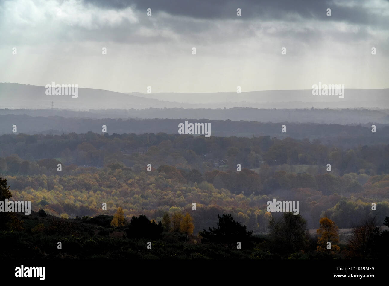 Nutley east sussex hi-res stock photography and images - Alamy