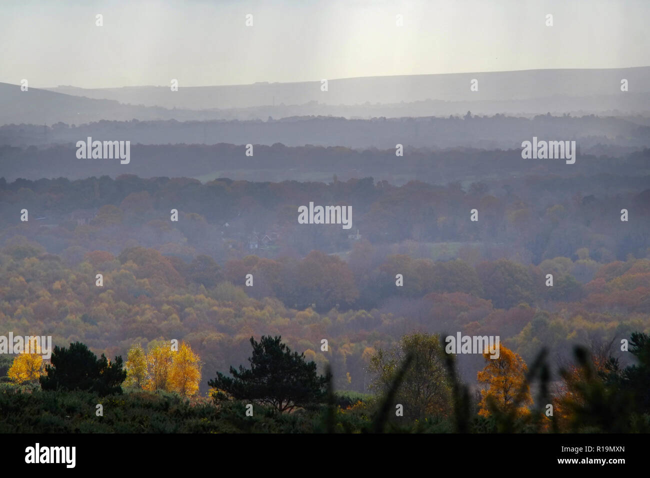 Nutley sussex hi-res stock photography and images - Alamy