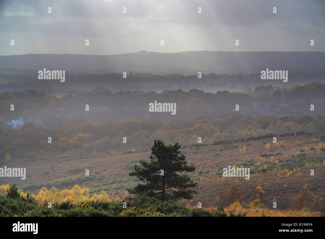 Nutley east sussex hi-res stock photography and images - Alamy