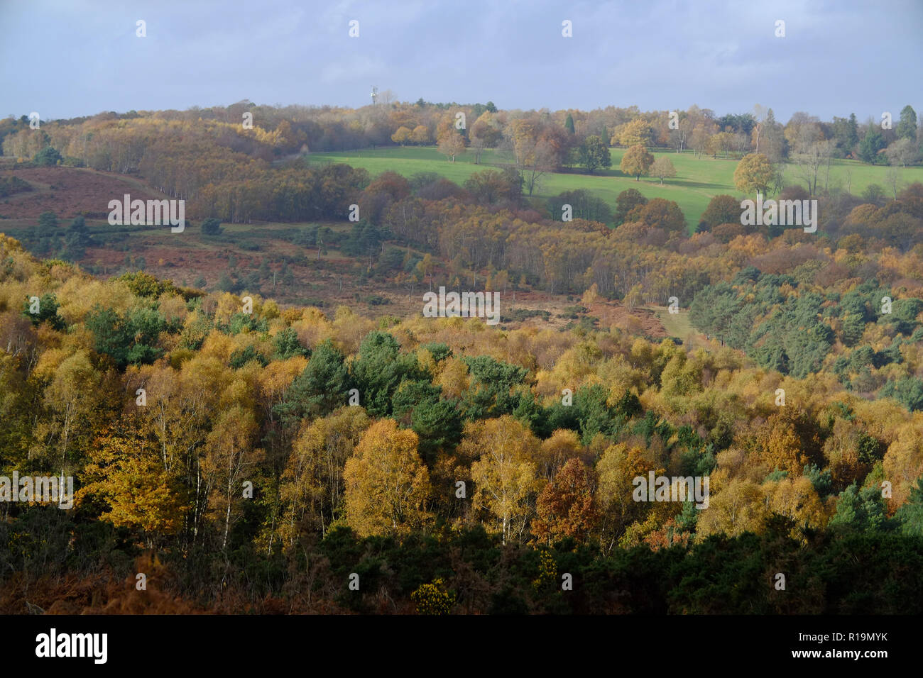 Nutley Sussex Stock Photos & Nutley Sussex Stock Images - Alamy