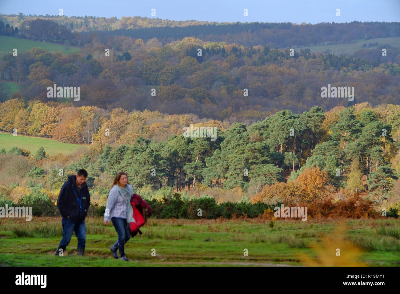 Nutley east sussex hi-res stock photography and images - Alamy