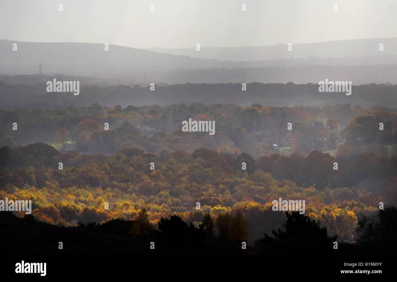 Nutley east sussex hi-res stock photography and images - Alamy