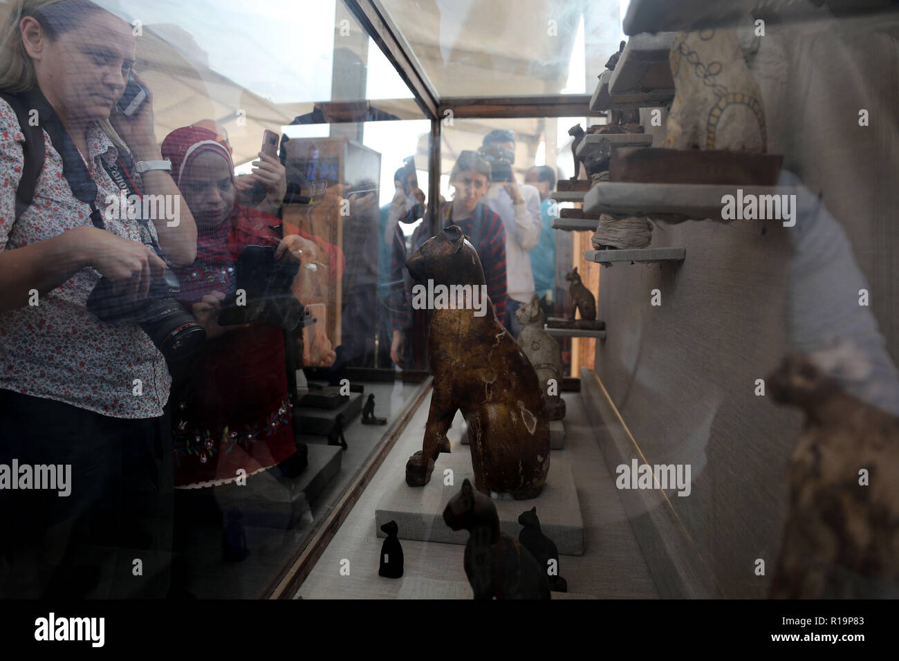 Egyptian cat mummies hi-res stock photography and images - Alamy