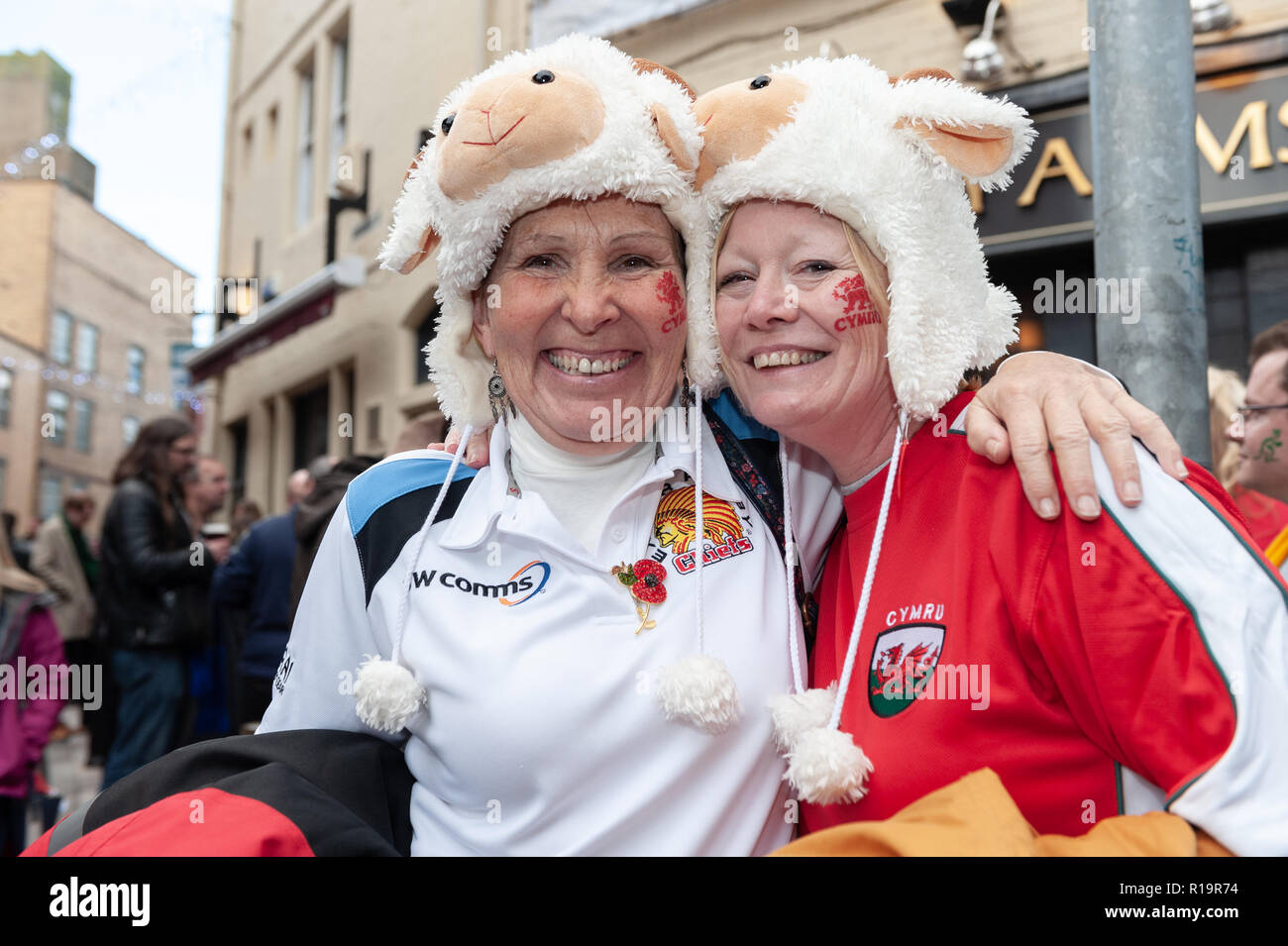Cardiff, Wales, UK. 10th Nov, 2018. Welsh fans looking a little ...
