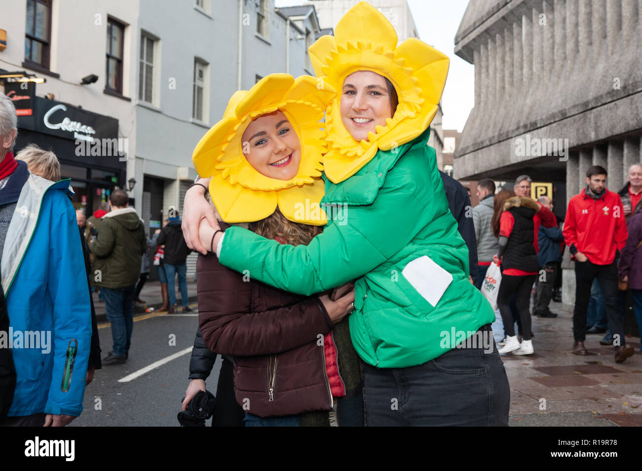 Cardiff, Wales, UK. 10th Nov, 2018. Welsh fans in their daffodil hats ...