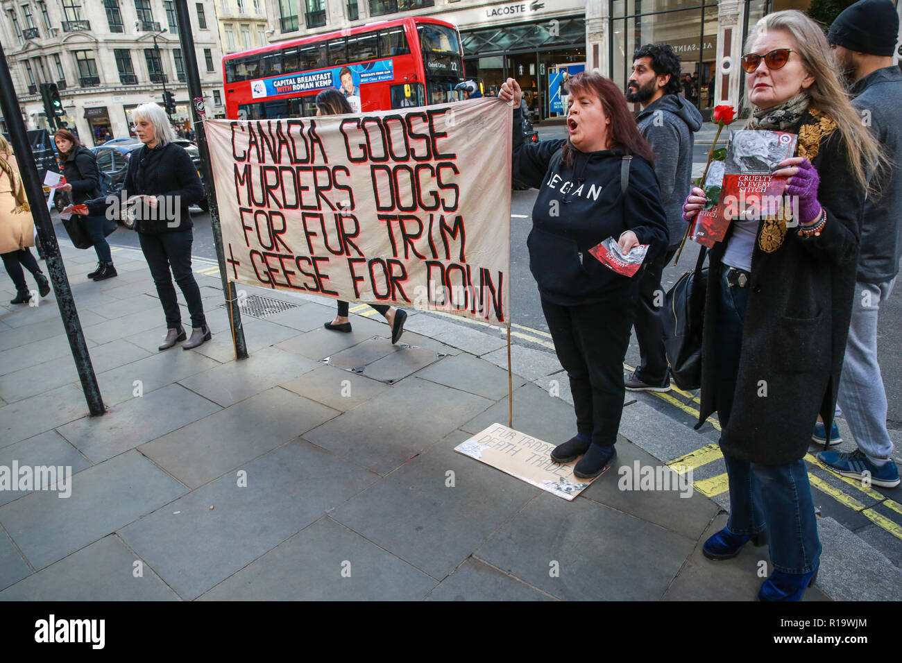 Canada goose protest hi-res stock photography and images - Alamy