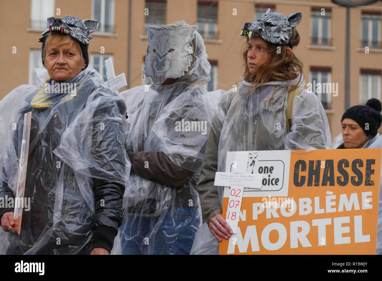 Stop wolves killing hi-res stock photography and images - Alamy