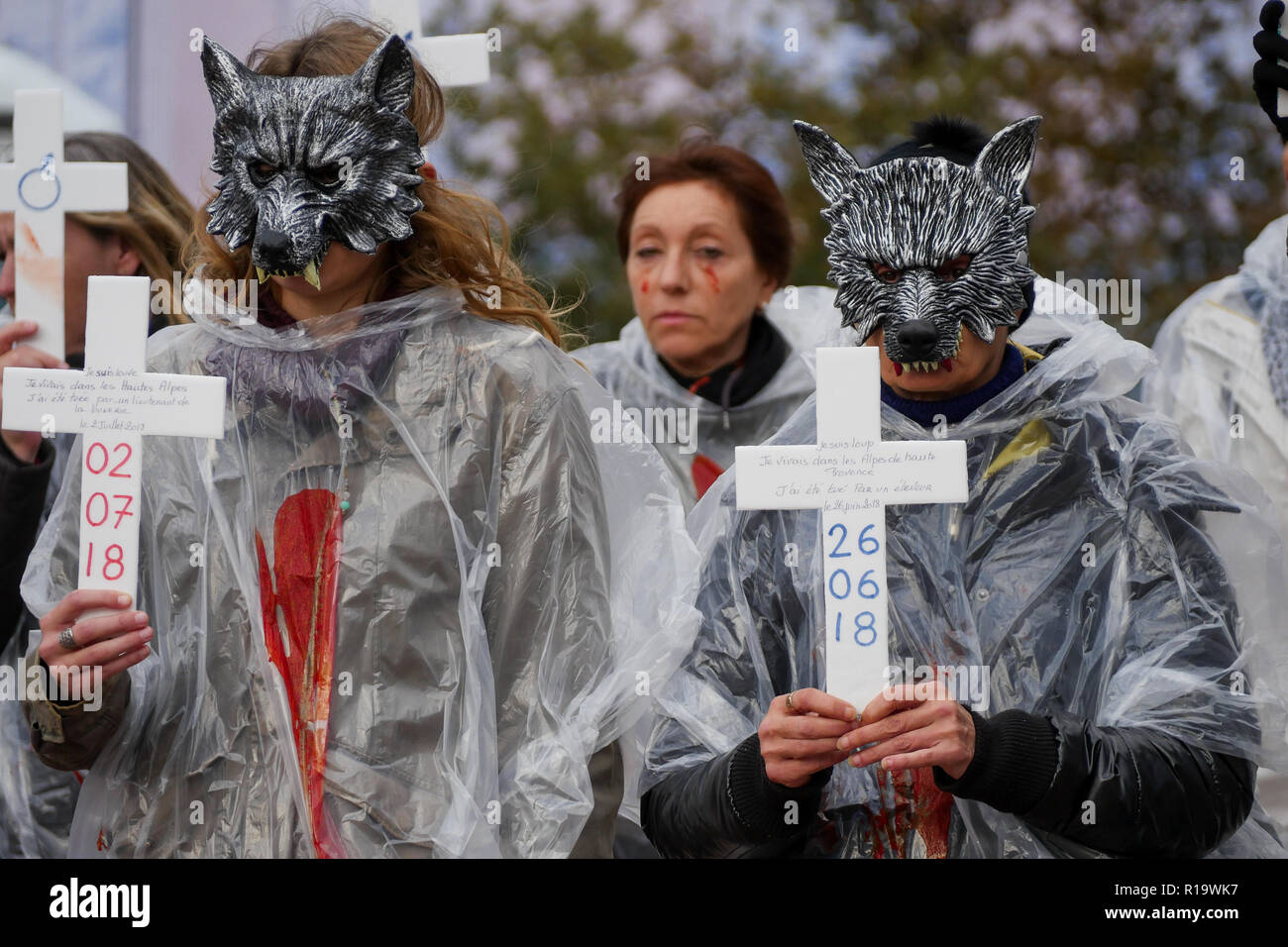 Stop wolves killing hi-res stock photography and images - Alamy