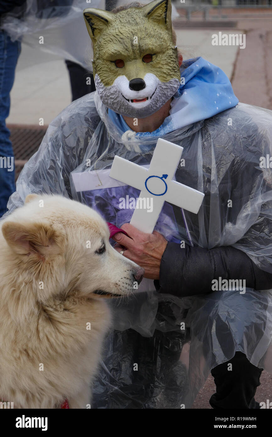 Stop wolves killing hi-res stock photography and images - Alamy