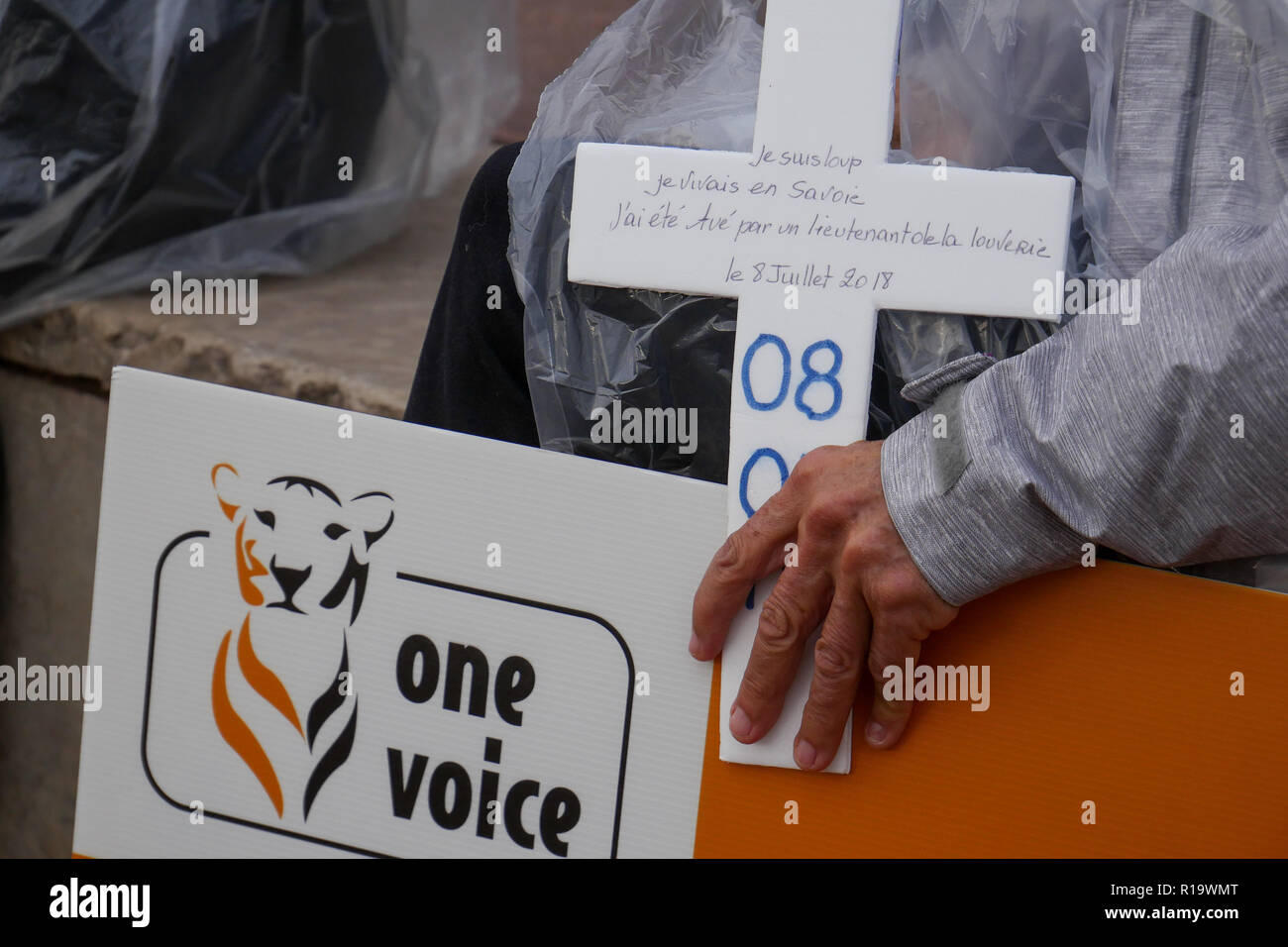 Stop wolves killing hi-res stock photography and images - Alamy