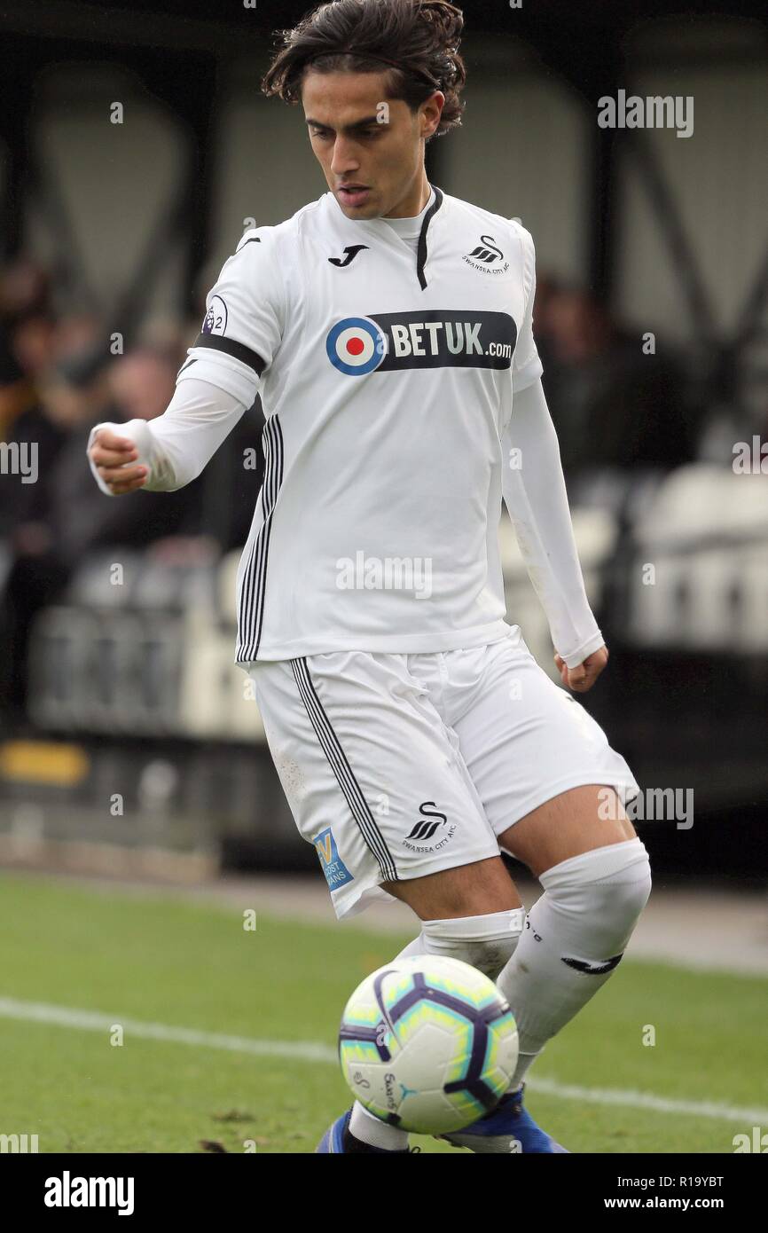 Swansea, Wales, UK. 10th Nov, 2018. U23 game Swansea City Vs ...