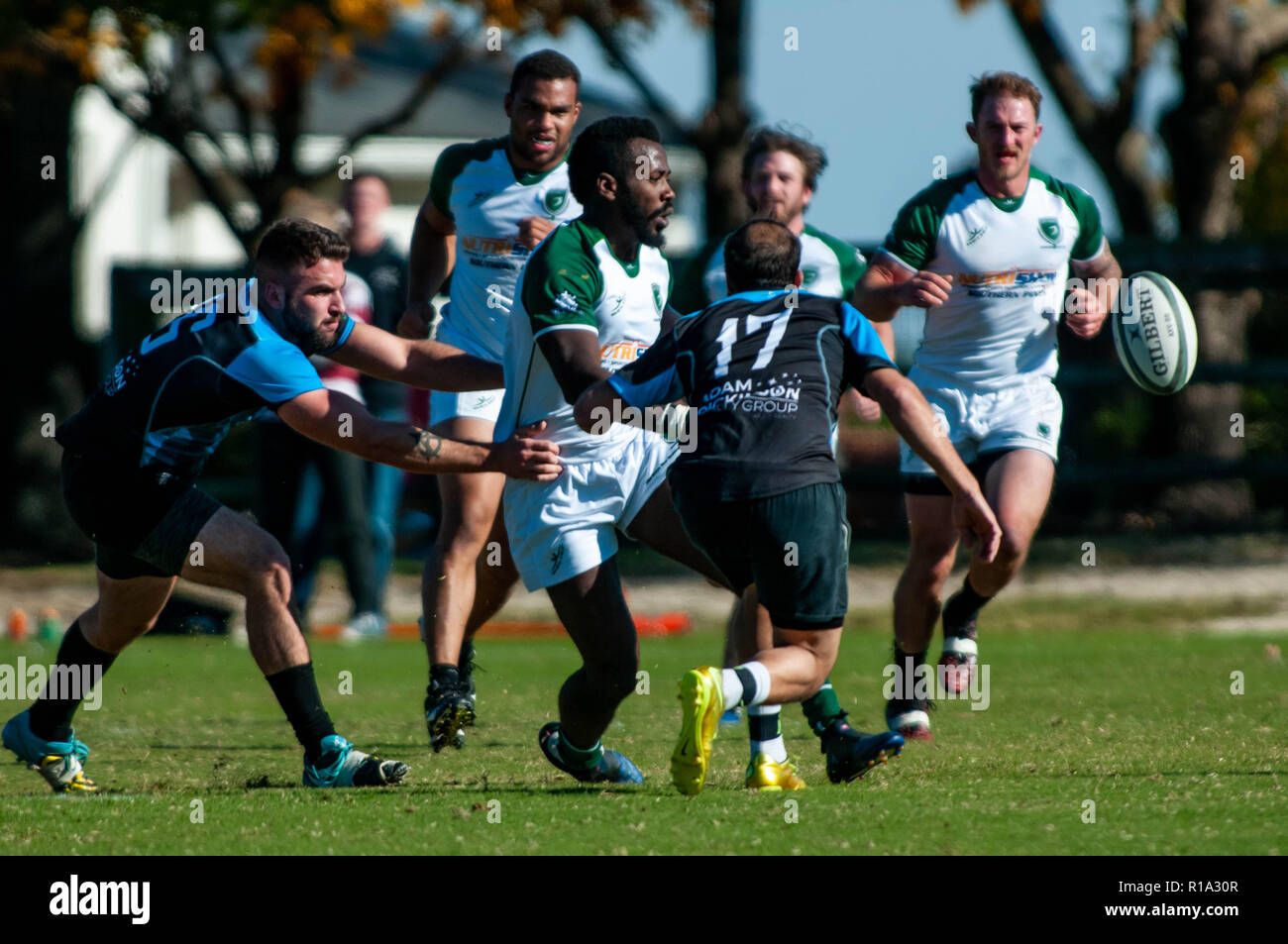 Southern Pines, N.C, USA. 9th Nov, 2018. Nov. 10, 2018 - Southern Pines ...