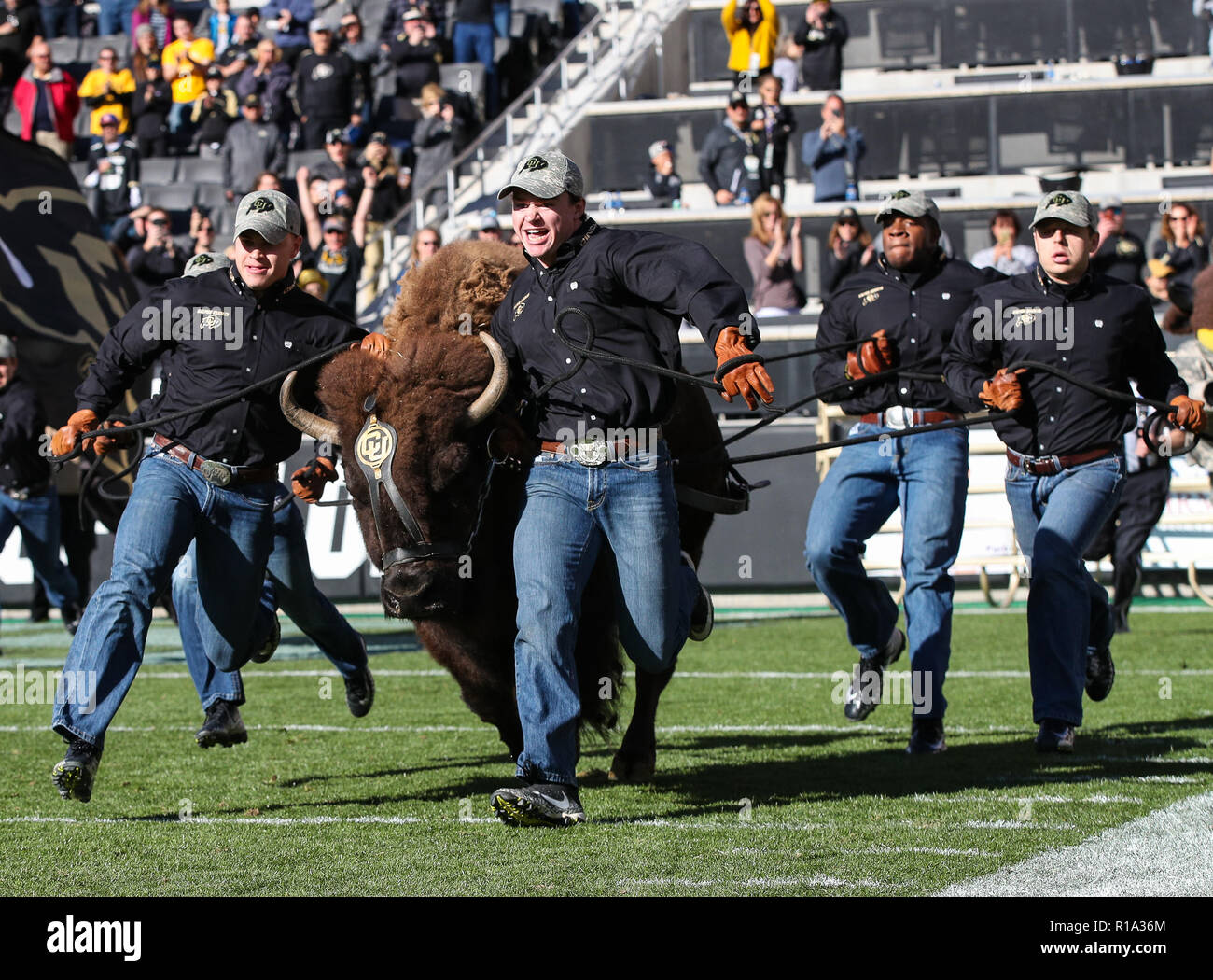 Ralphie hi-res stock photography and images - Alamy