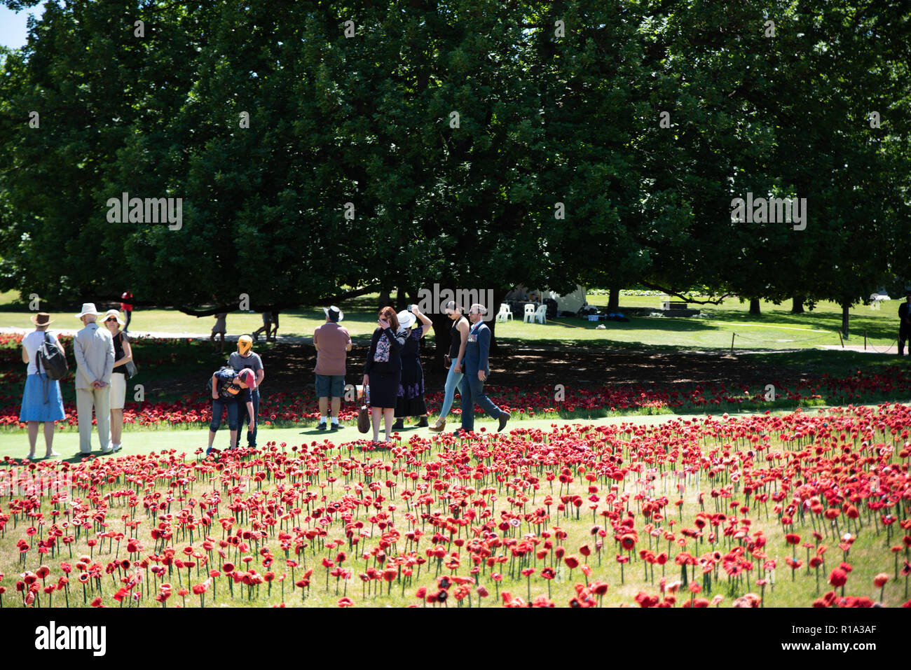 Canberra, Australia. 11th Nov, 2018. Crowds gather to pay respect, 11 ...