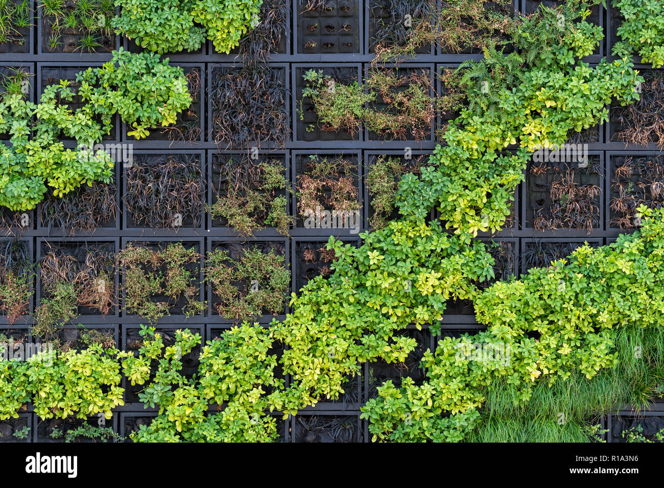 Wall from many color hi-res stock photography and images - Alamy