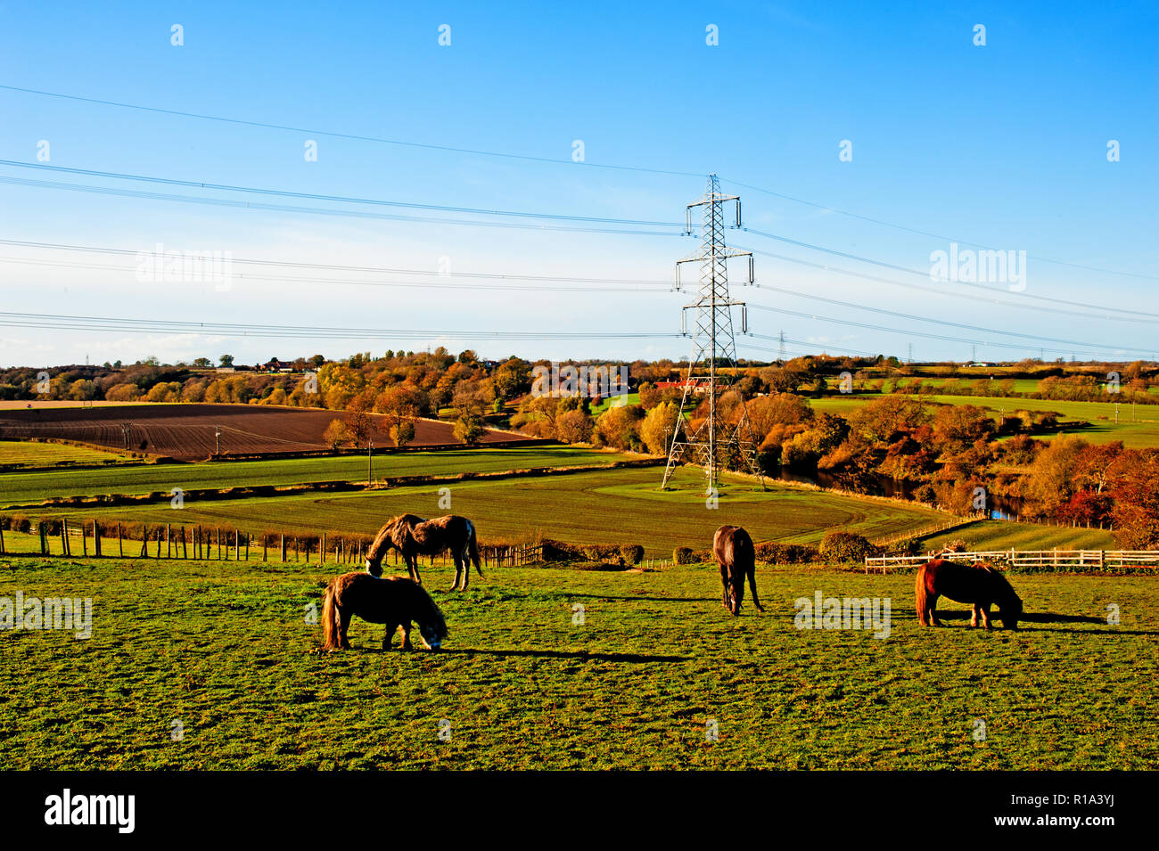 Worsall Road over looking River Tees, Yarm on Tees, North East England ...