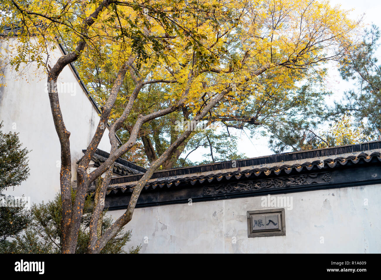 Suzhou garden, traditional architecture Stock Photo - Alamy