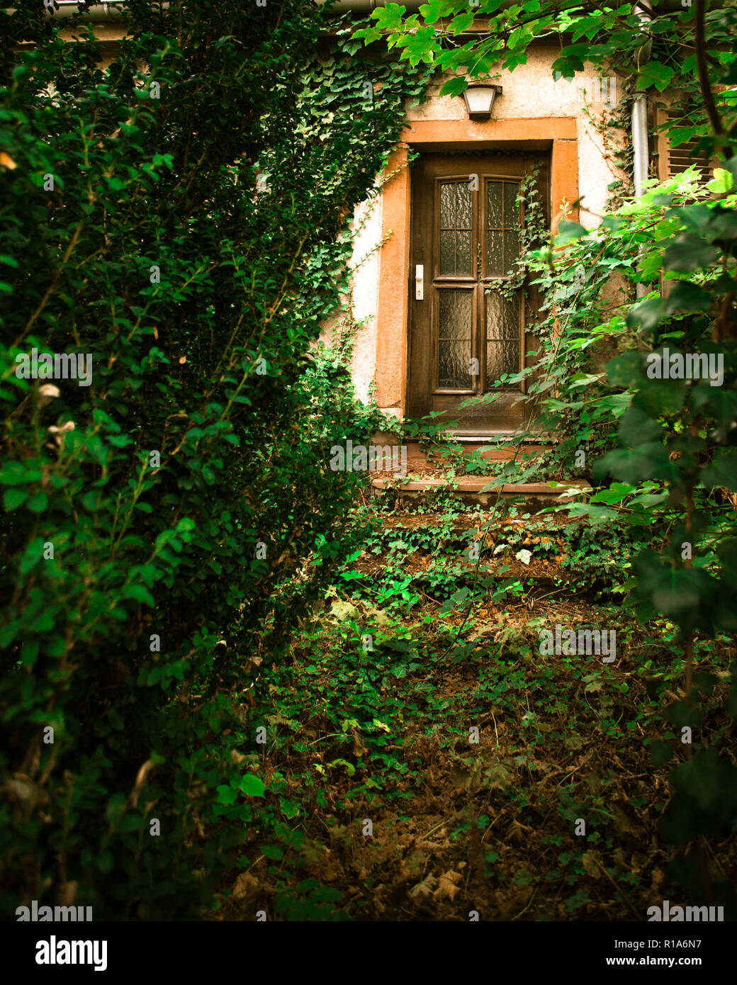 Abandoned home with overgrown path leading to front door Stock Photo ...