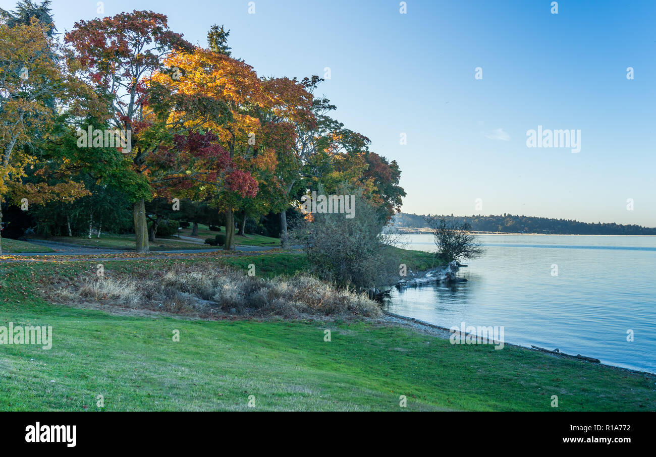 Autumn colors are on display on the shoreline of Lake Washington in ...