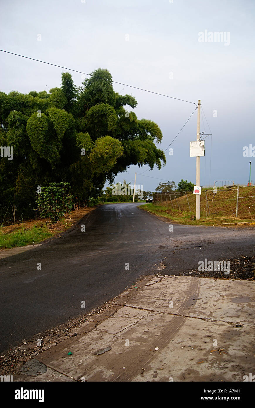 rural pavement road with bamboo planting beside with traffic sign Stock ...