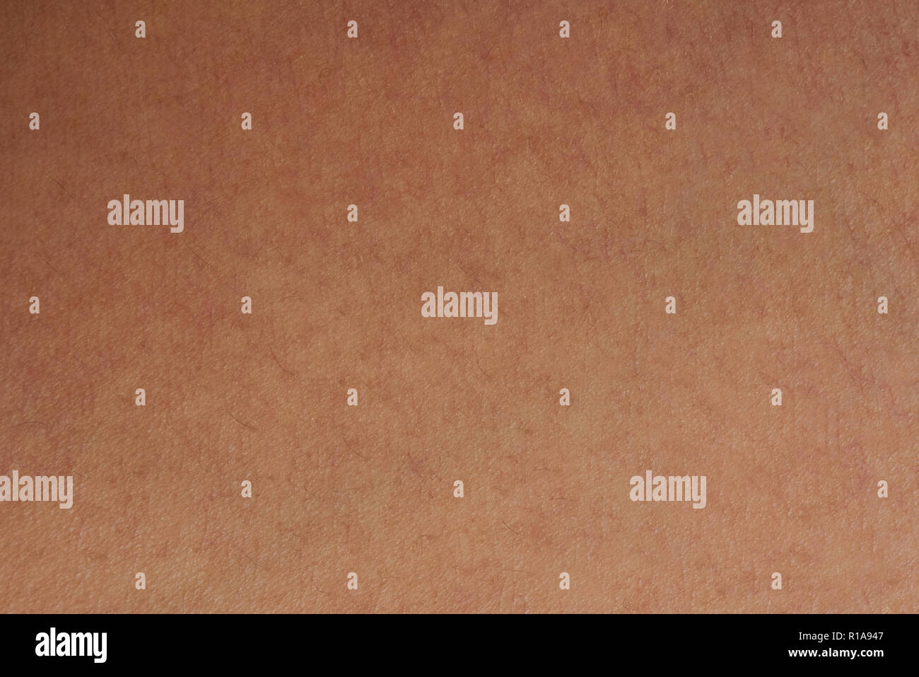 Human skin pattern closeup. Asian person skin texture Stock Photo - Alamy