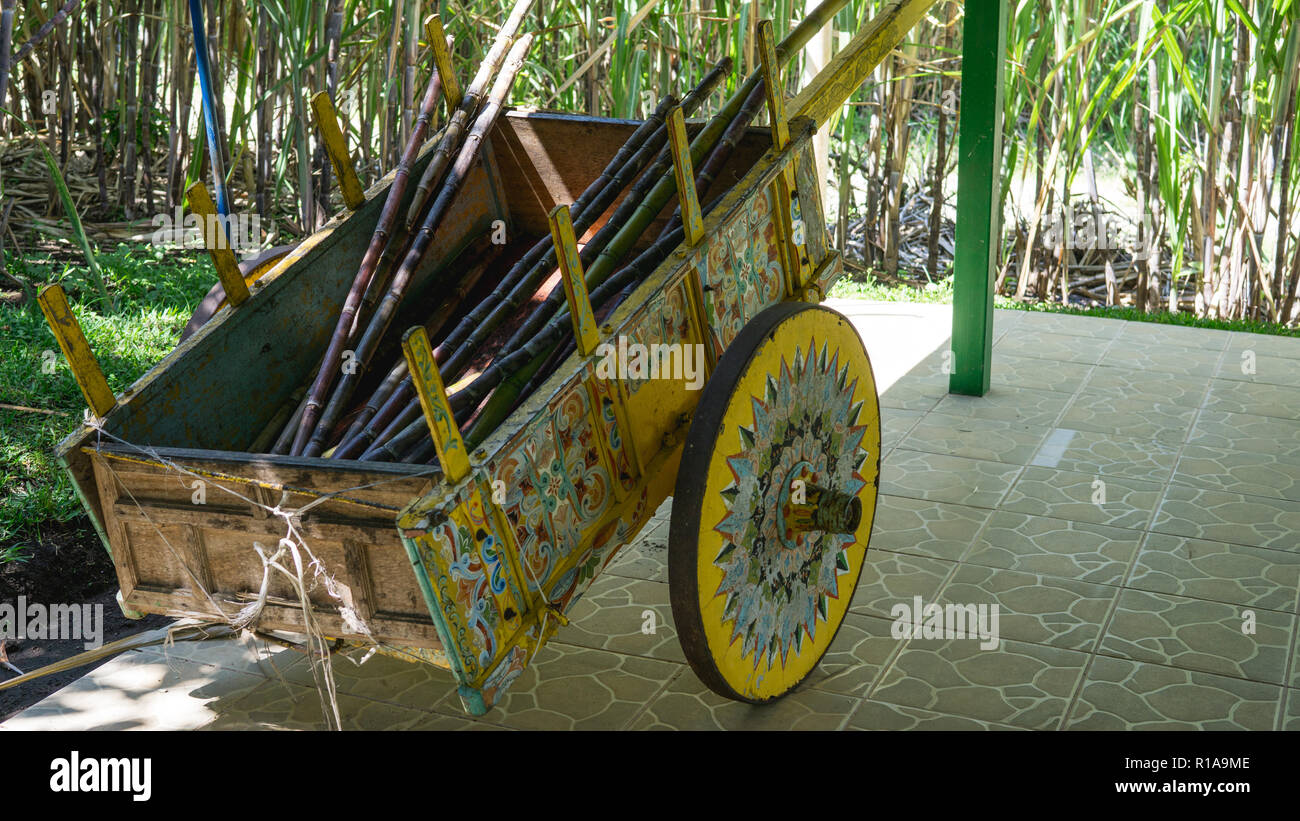 Wooden cart with sugar cane inside Stock Photo - Alamy