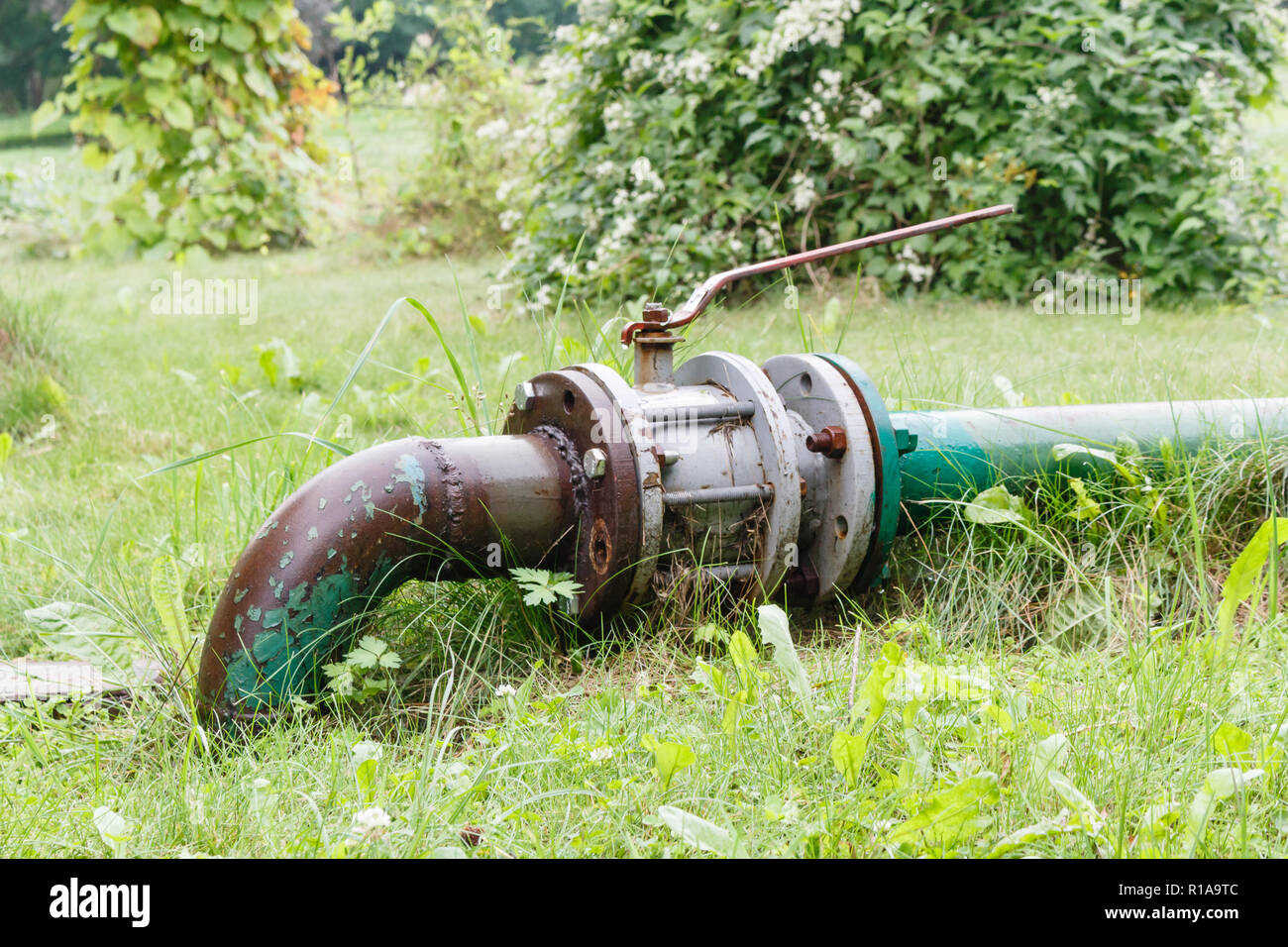 Rusty green colored old pipe with valve on the green grass Stock Photo ...