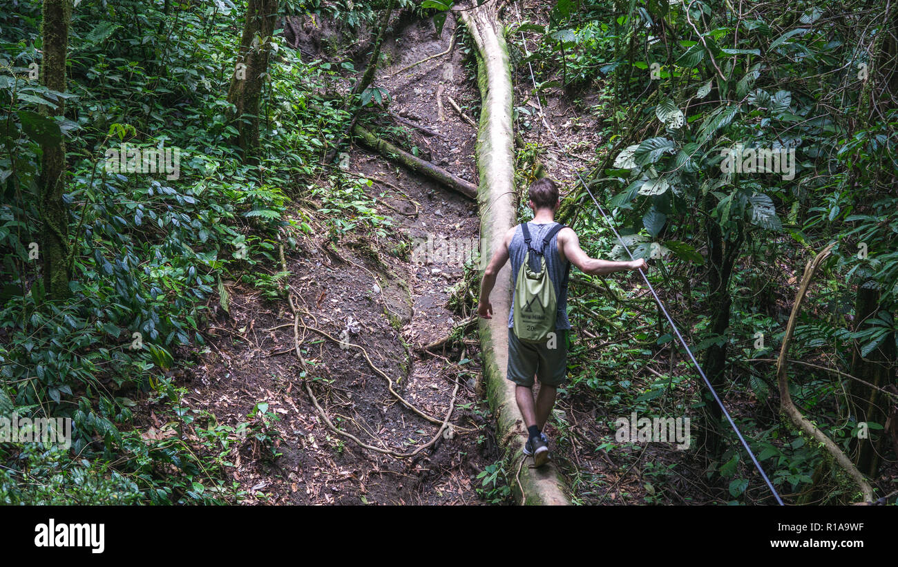 Traveler man crossing a falling tree on a jungle trail holding a rope ...