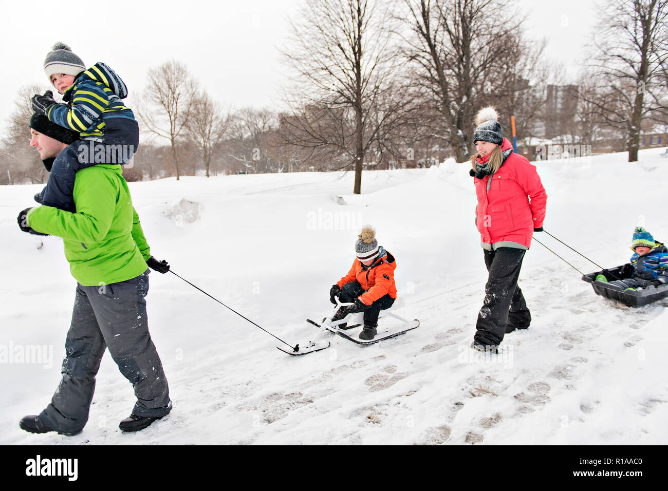 A nice Family Pulling Sledge Through Snowy Landscape Stock Photo - Alamy