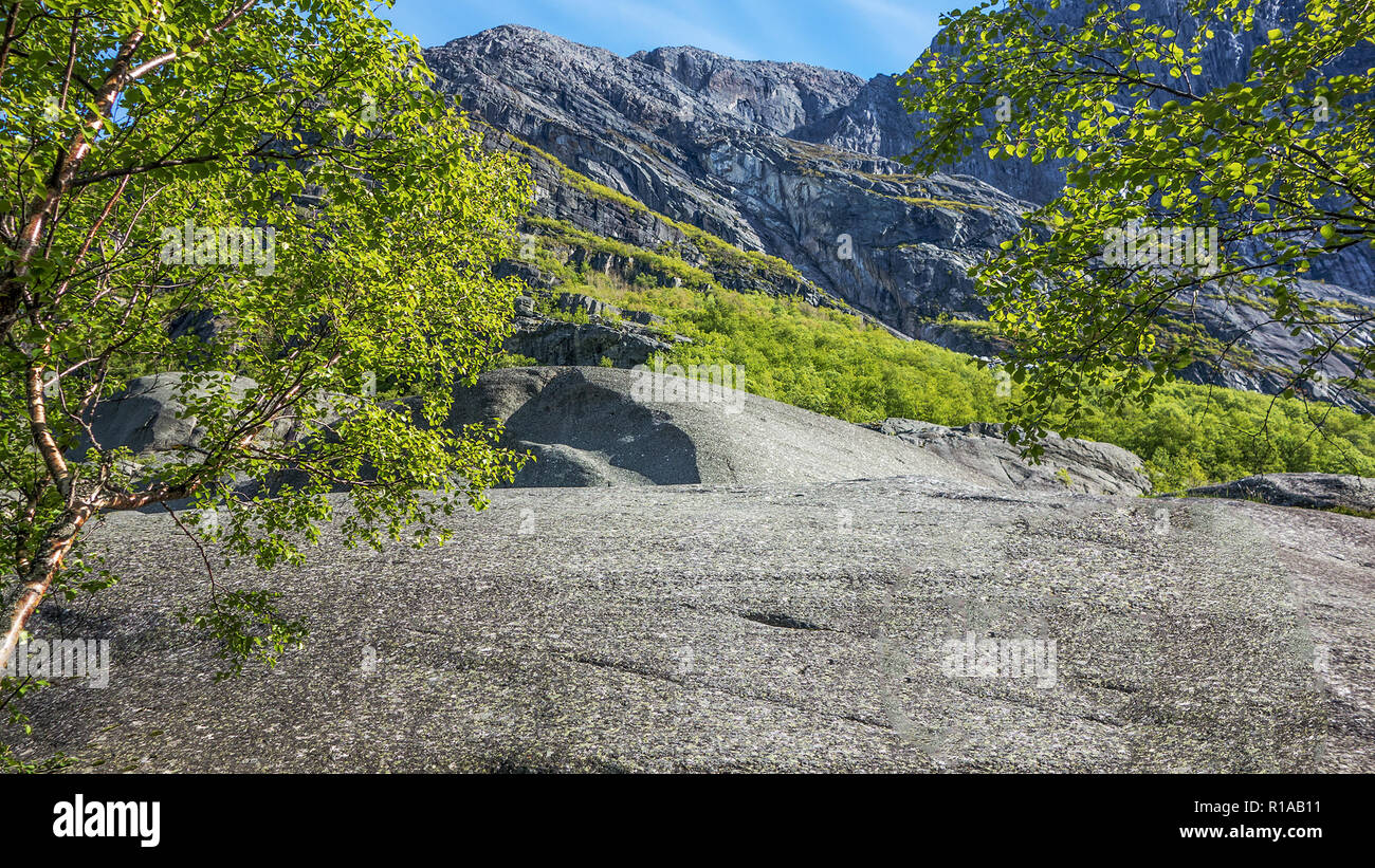 Stone plateau and trees, in mountains Stock Photo - Alamy
