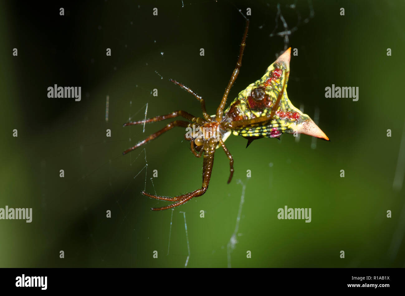 Arrowshaped hi-res stock photography and images - Alamy