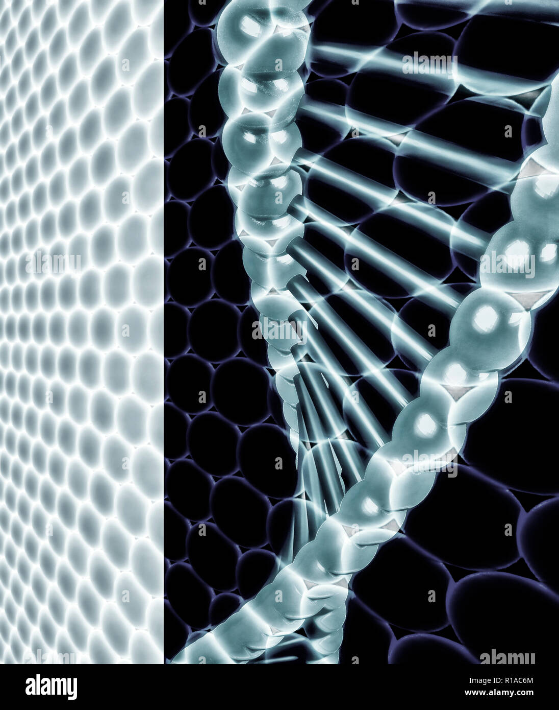 Human Modified Dna High Resolution Stock Photography and Images - Alamy