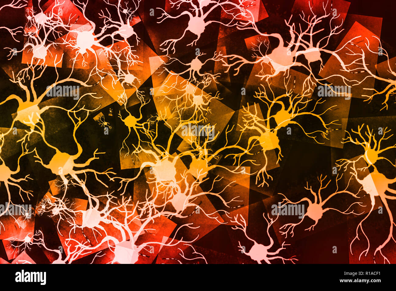 Neuroimaging Stock Photos & Neuroimaging Stock Images - Alamy