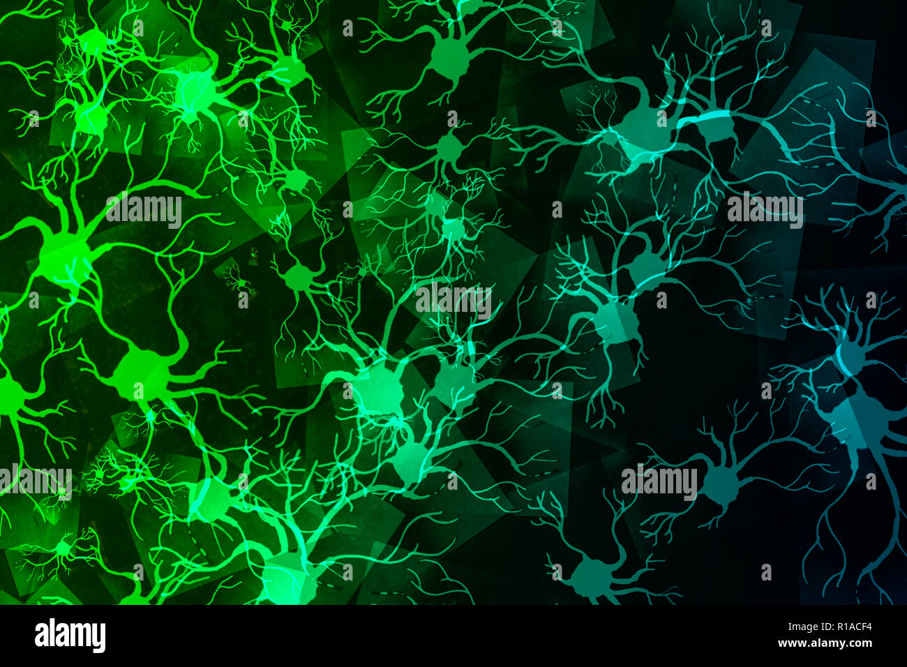 Connectome High Resolution Stock Photography and Images - Alamy