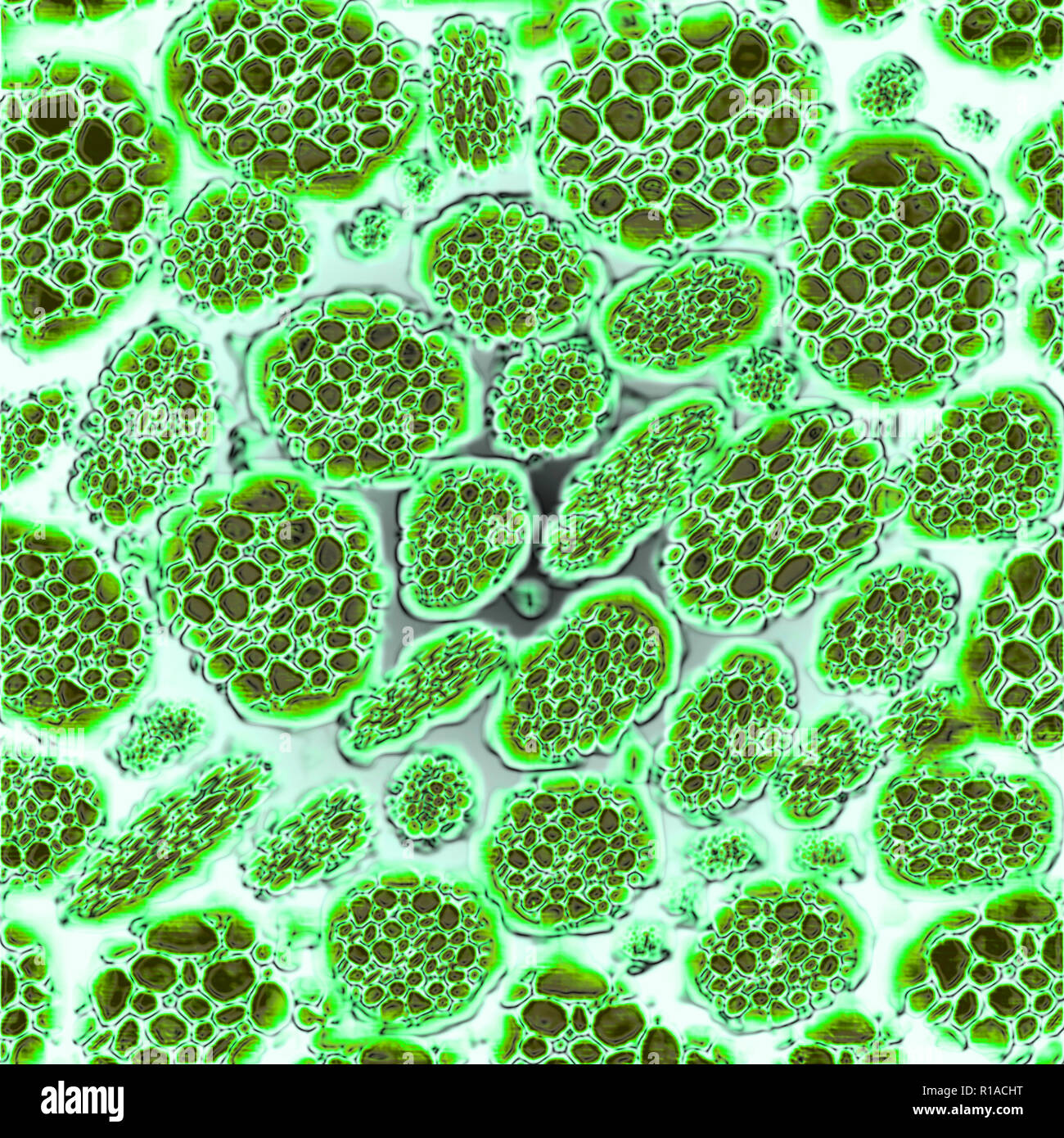 Dendrimer Structure High Resolution Stock Photography and Images - Alamy