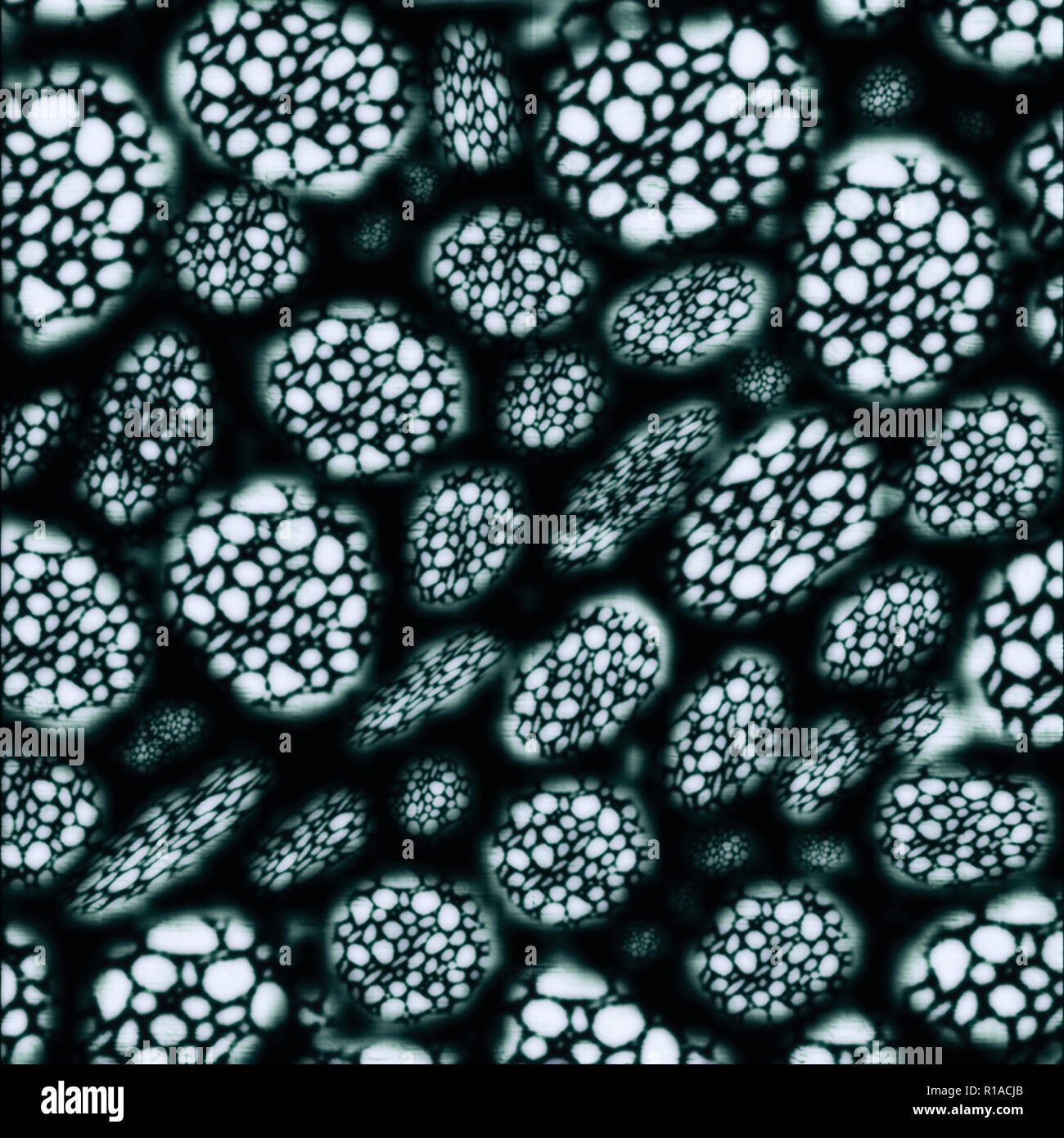 Dendrimer Structure High Resolution Stock Photography and Images - Alamy