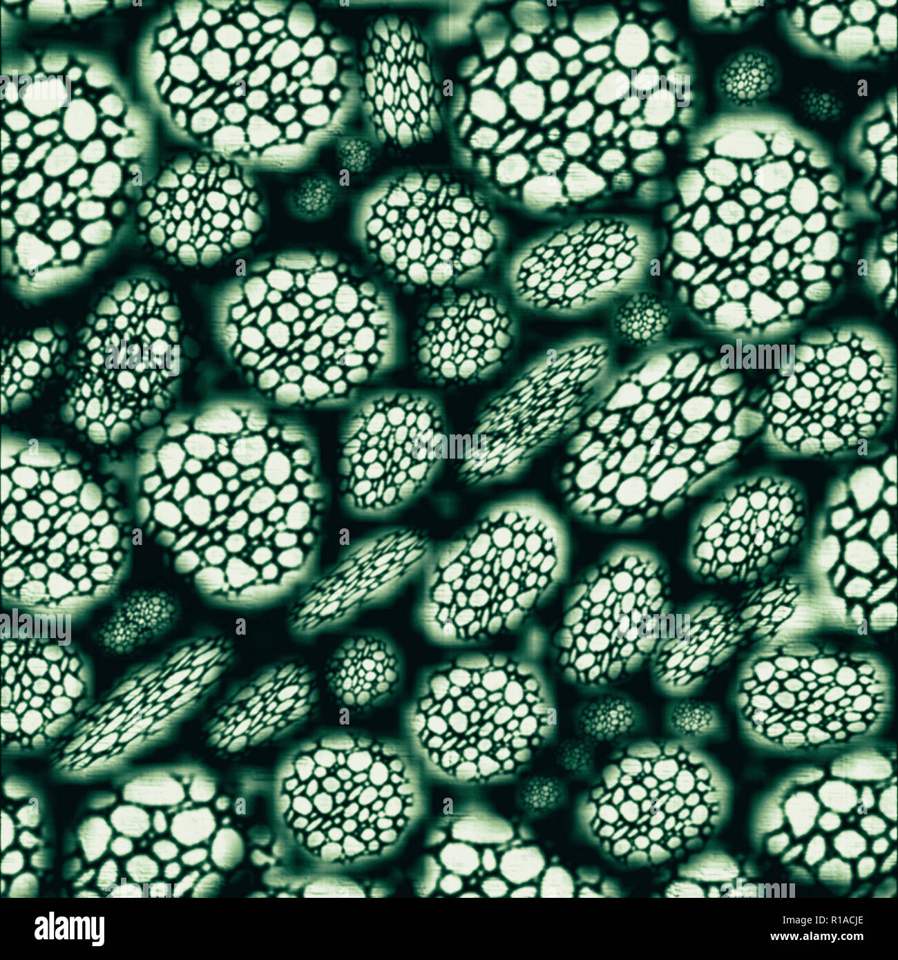 Collagen Matrix High Resolution Stock Photography and Images - Alamy