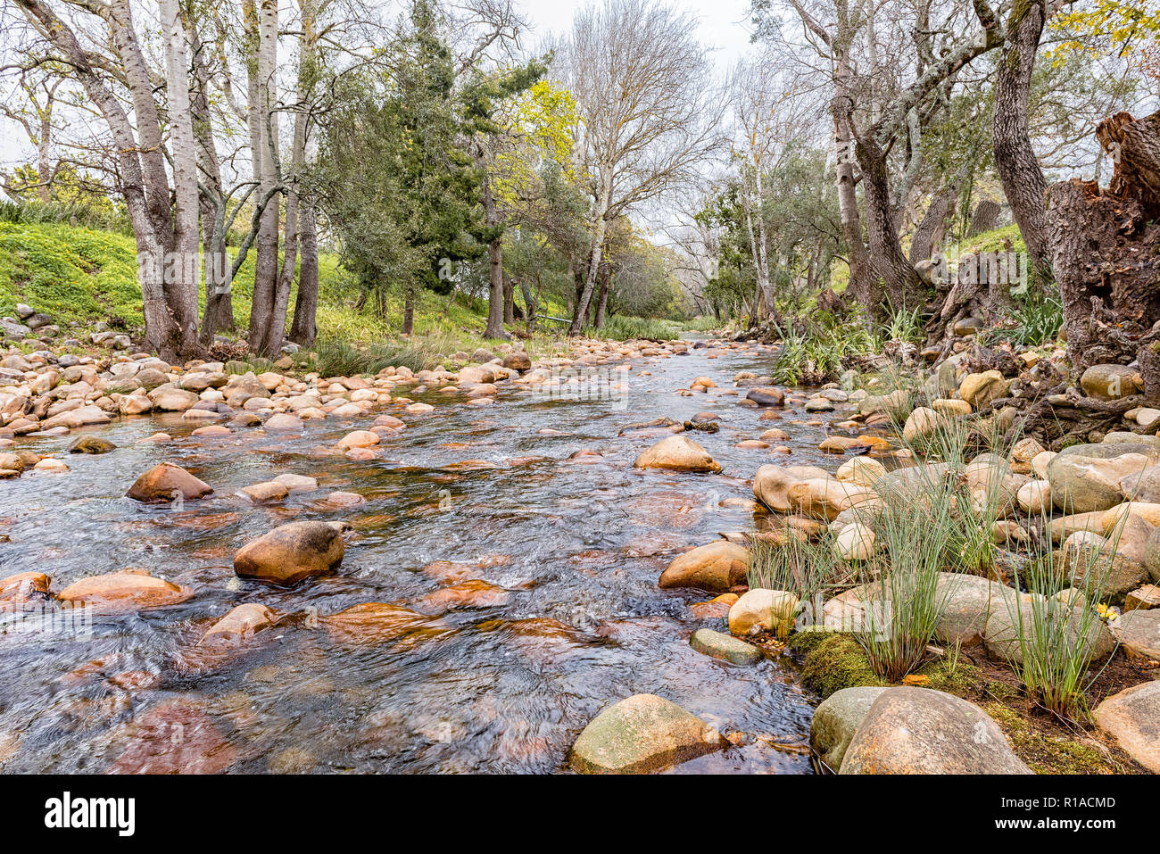 A view of the Eerste River in Stellenbosch in the Western Cape Province ...