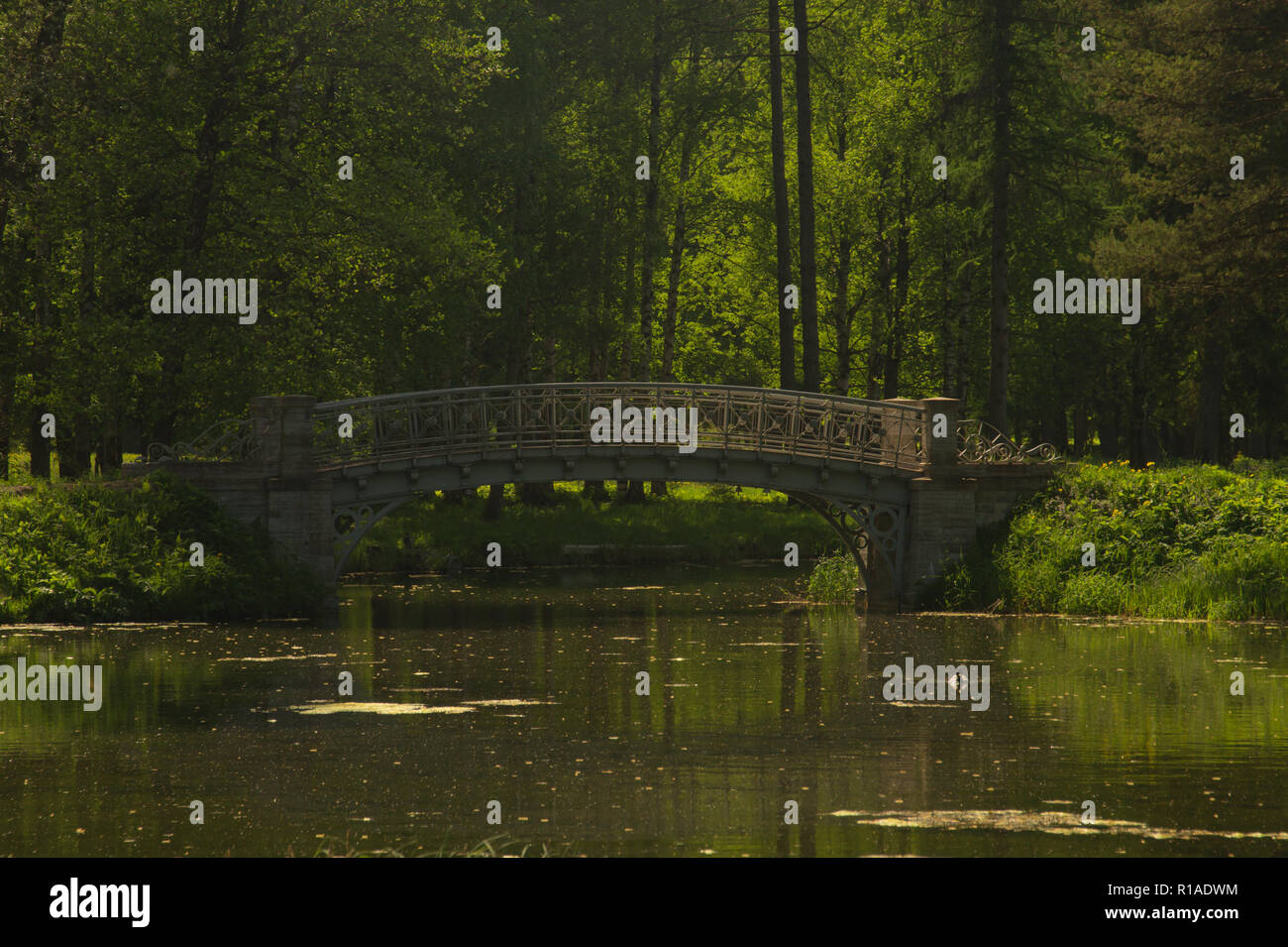 Bridge in the forest. Nature landscape Stock Photo - Alamy