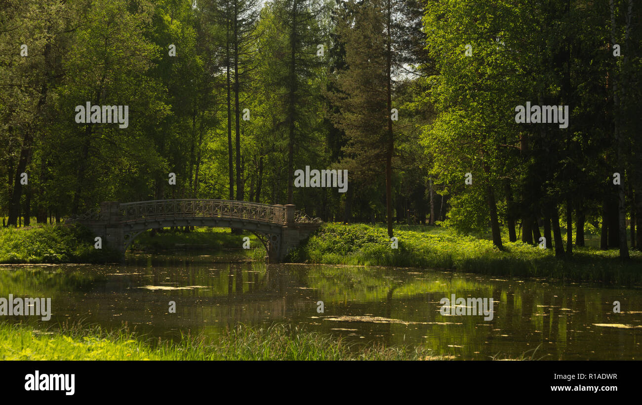 Bridge in the forest. Nature landscape Stock Photo - Alamy