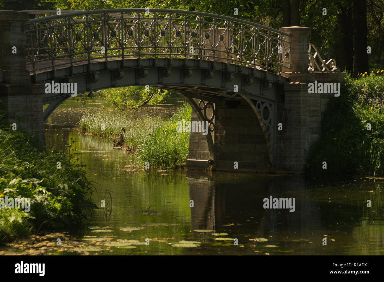 Bridge in the forest. Nature landscape Stock Photo - Alamy