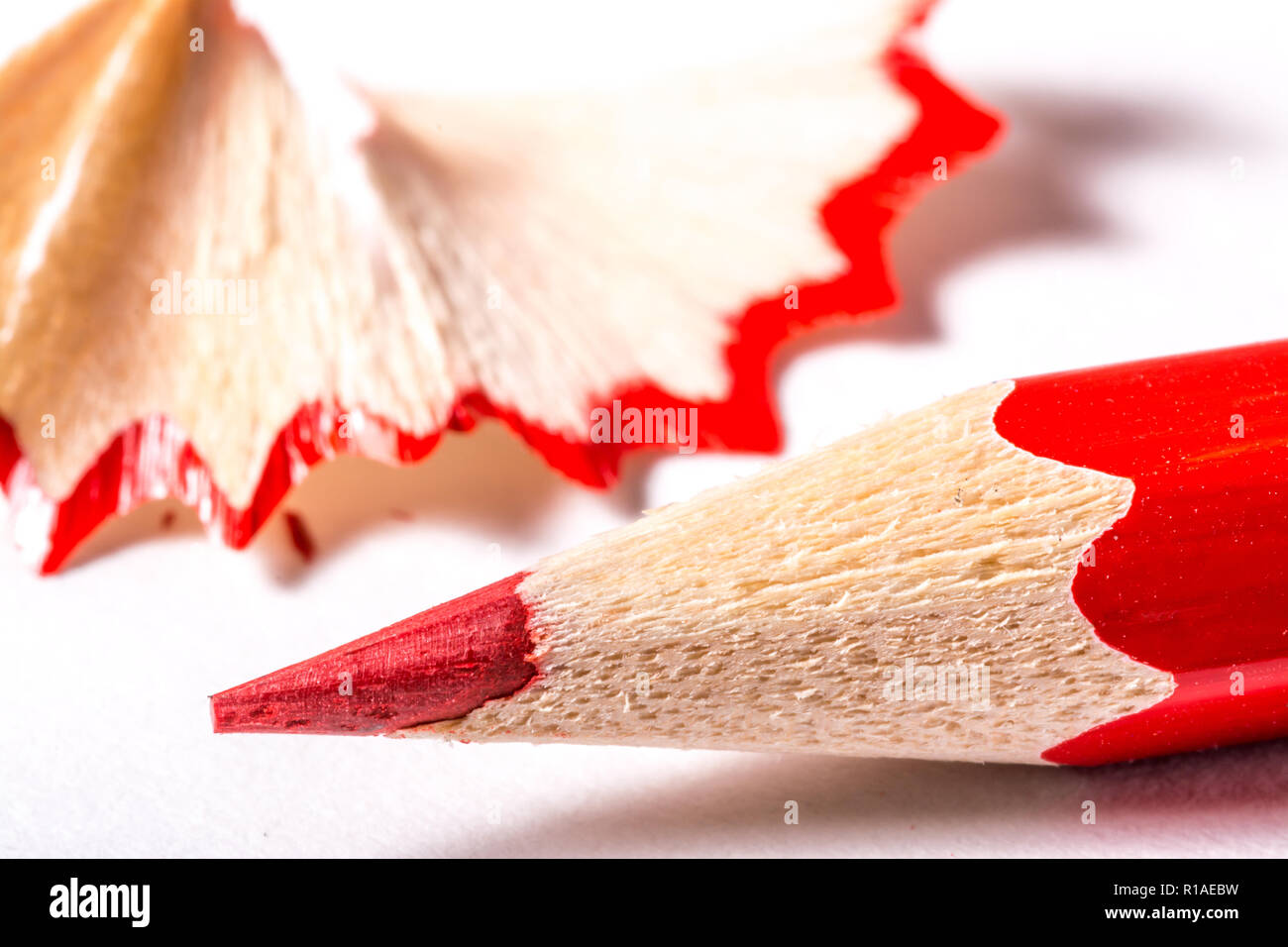 Red pencil with shavings on a white background texture close-up macro ...