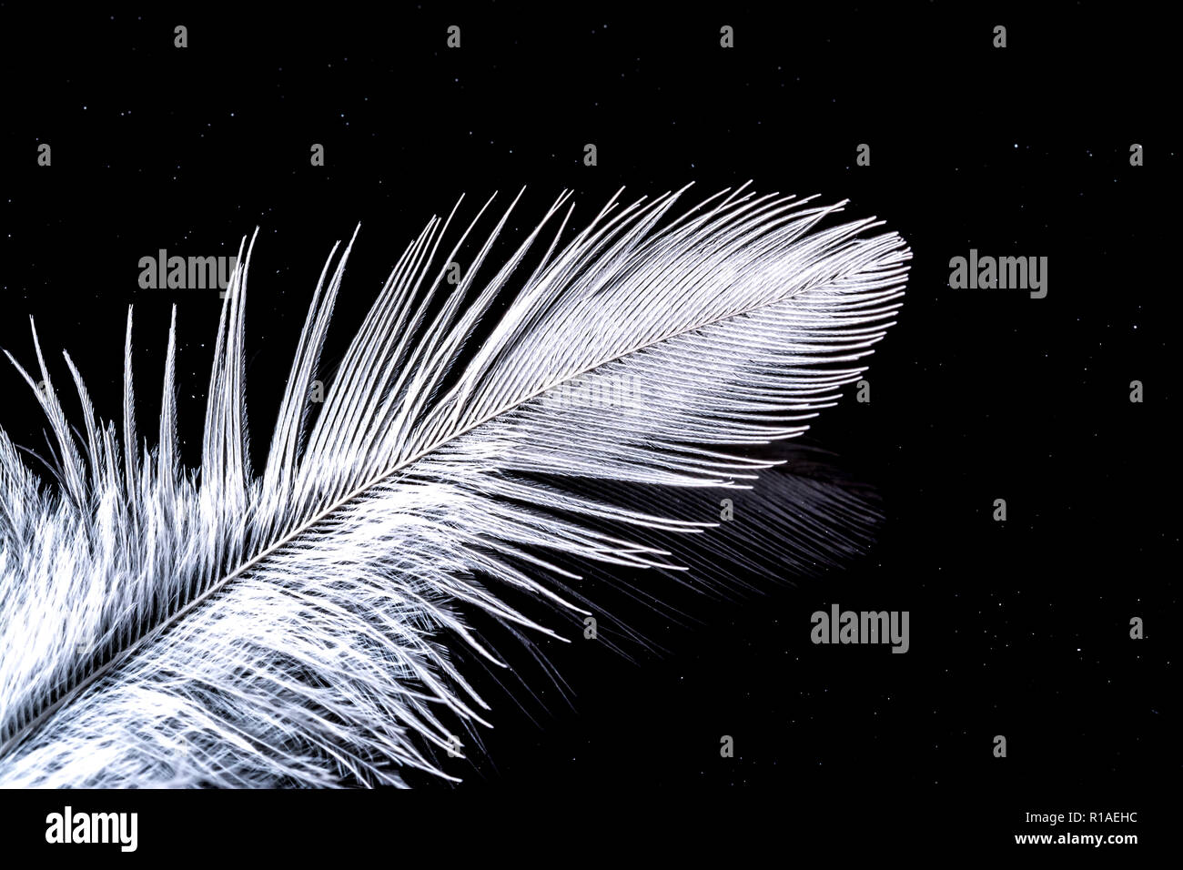 Cosmic texture hi-res stock photography and images - Alamy