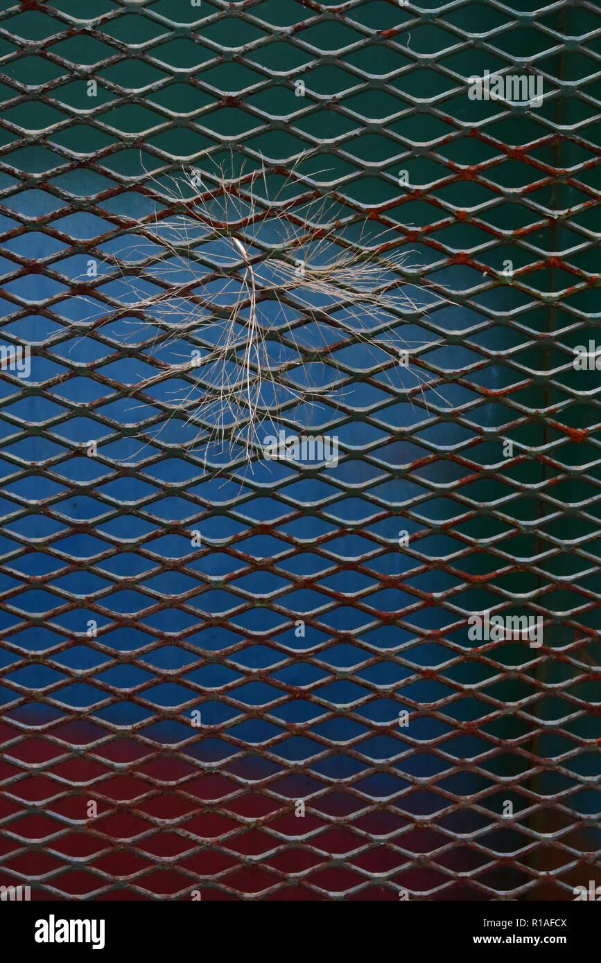 Abstract image of fence Stock Photo - Alamy