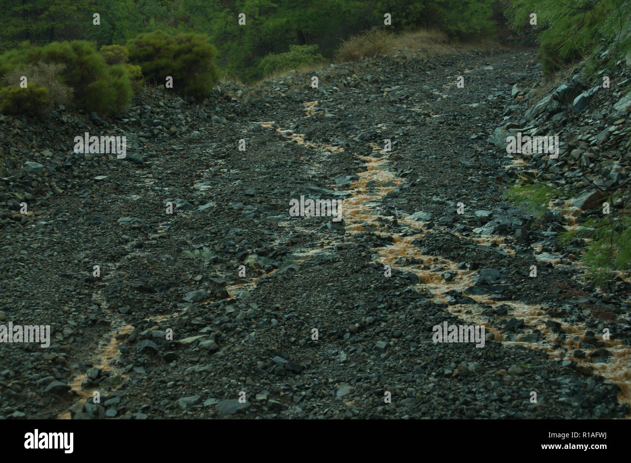 Bumpy Trail High Resolution Stock Photography and Images - Alamy