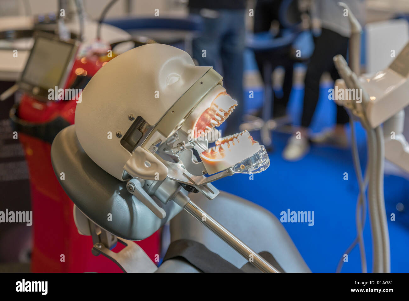 Layout of a human skull with open jaw. The layout of the human jaw ...