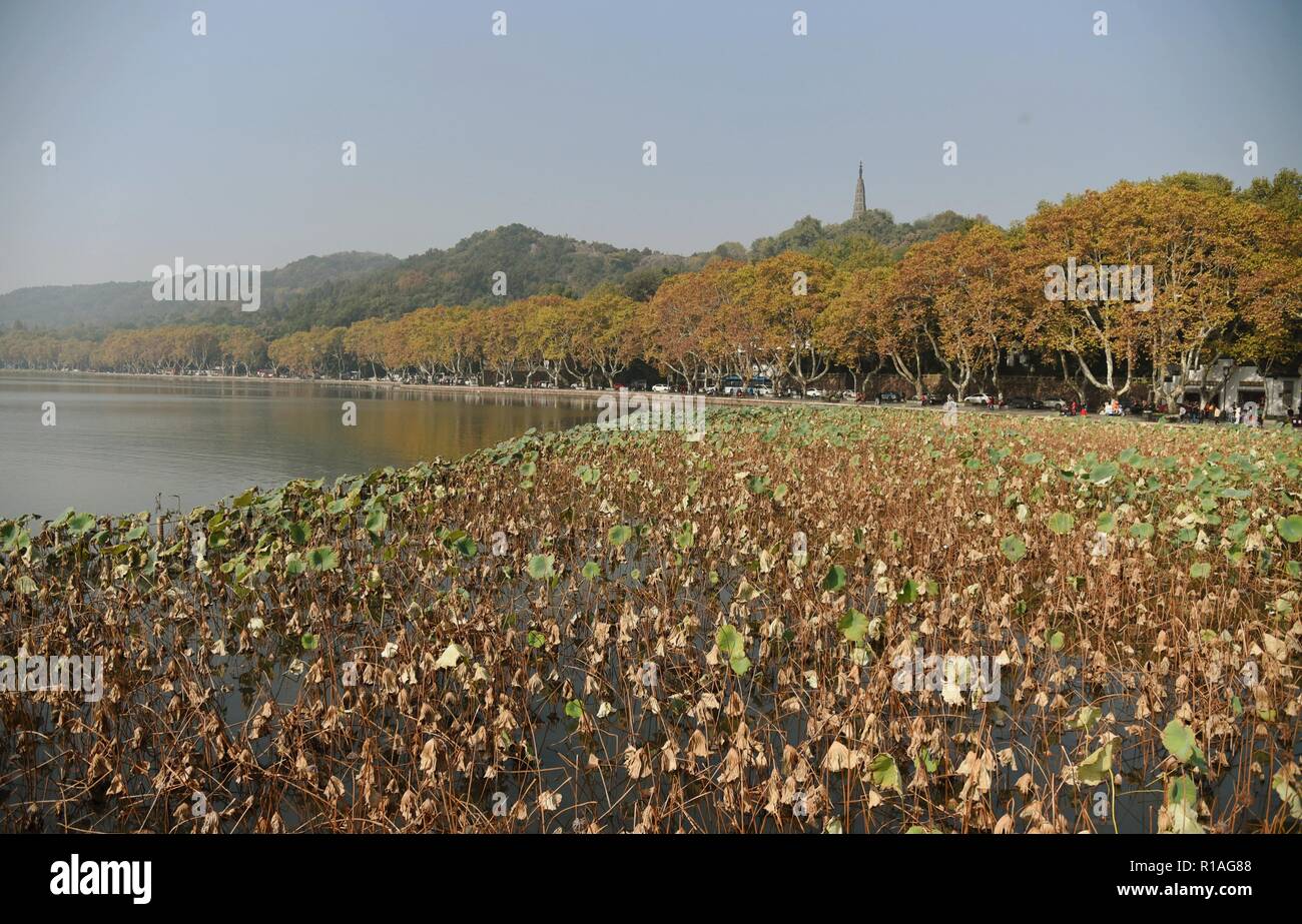 Autumn scenery of West Lake Scenic Area in Hangzhou Stock Photo - Alamy